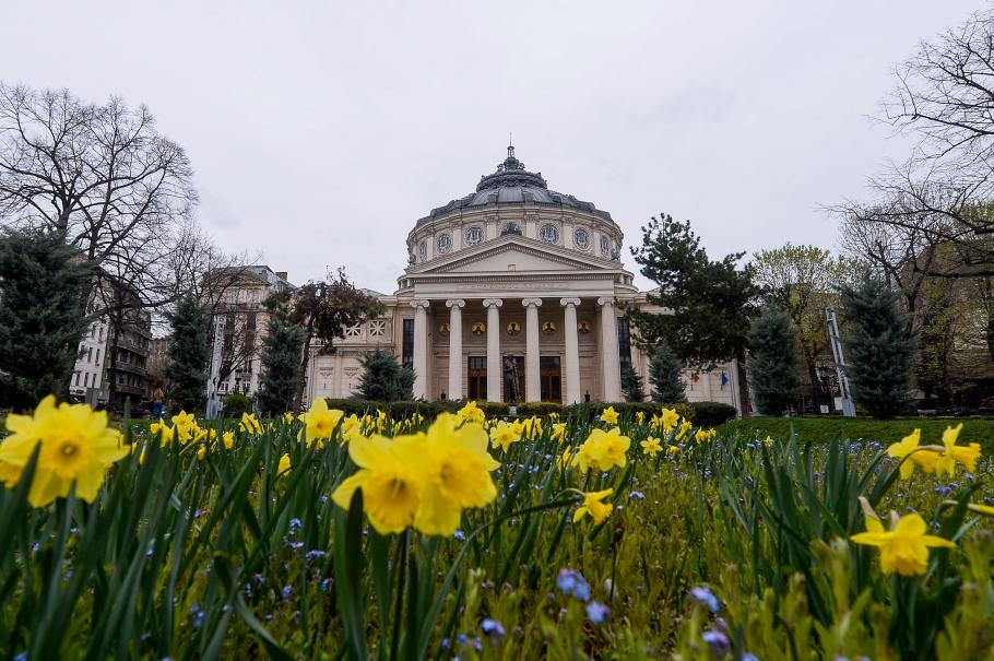 Cele mai frumoase monumente istorice din România | Observatornews.ro