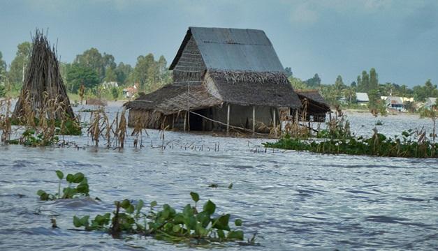 Musonul din Asia: Sute de morți, milioane de evacuați | Observatornews.ro