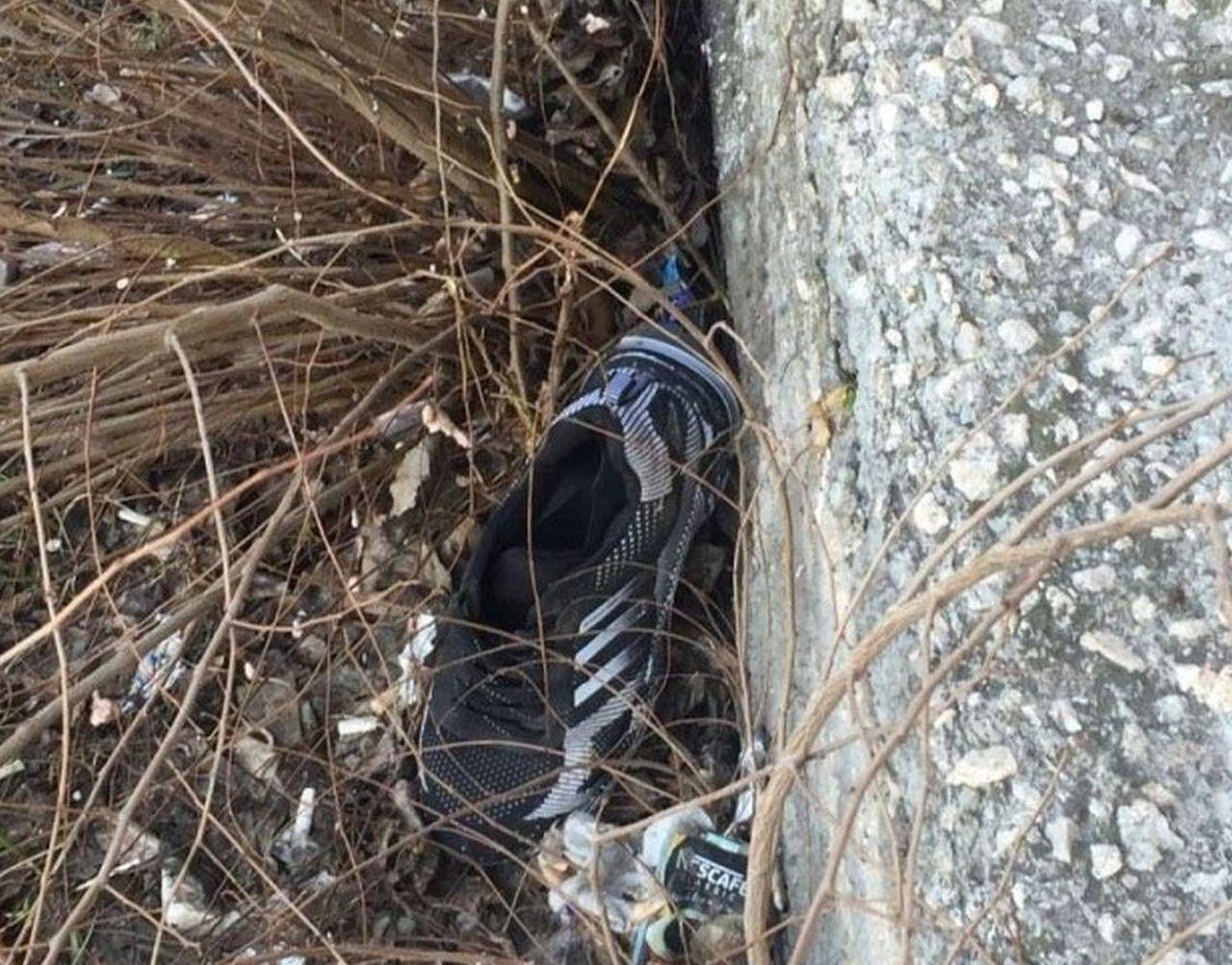 Fenomenul BALENA ALBASTRĂ: SFATURILE unui psiholog pentru tinerii care ...