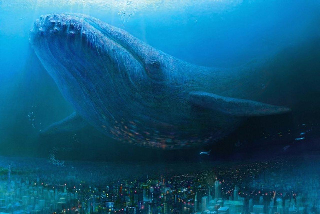 BALENA ALBASTRĂ a ajuns în România! ANUNŢUL făcut astăzi de Poliţia ...