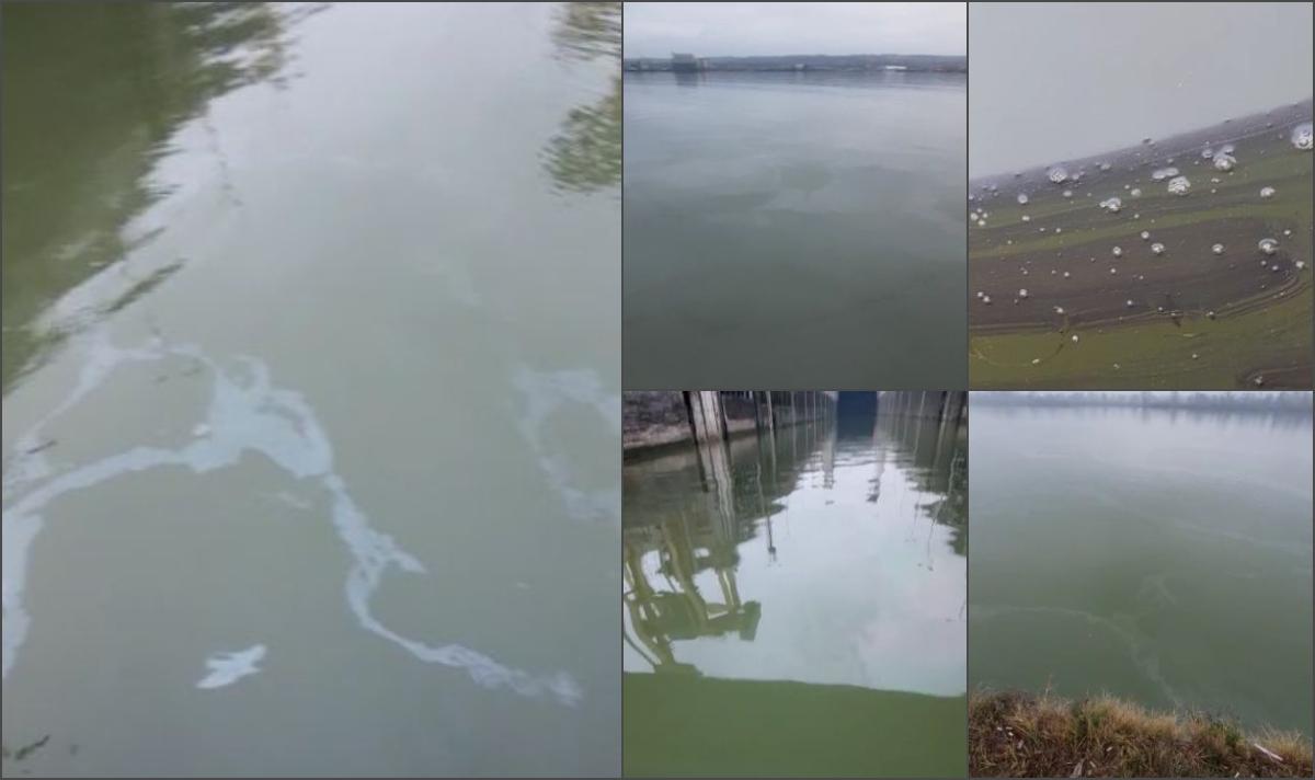 Dunărea poluată cu petrol pe 6 kilometri. Pata se întinde până la ...