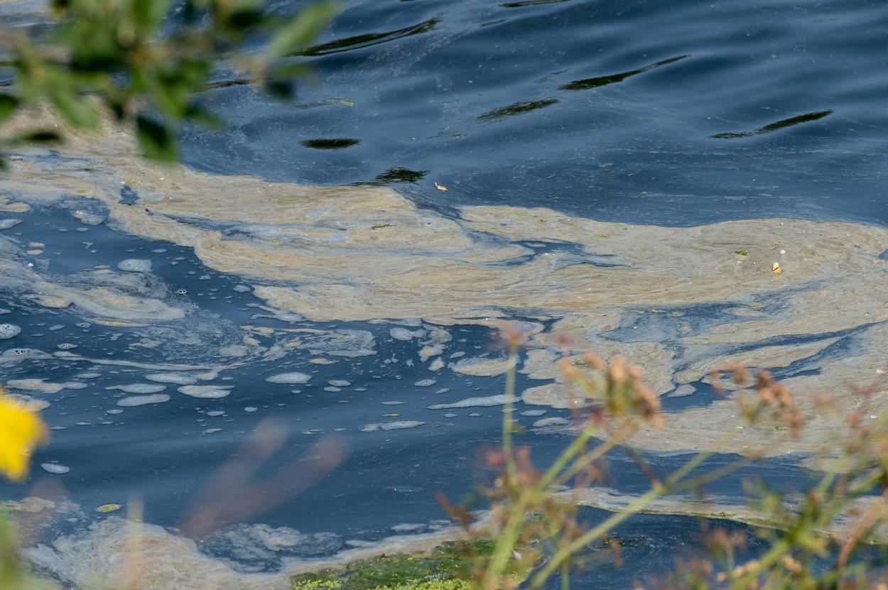 "Canalul Mânecii nu e groapă de gunoi". Apă de canalizare în mare ...