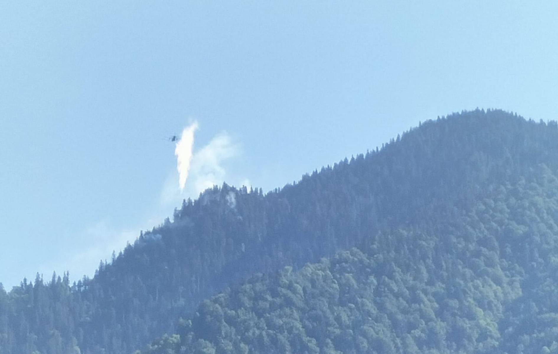 Incendiu de pădure în Munţii Maramureşului. Ministerul Apărării a ...