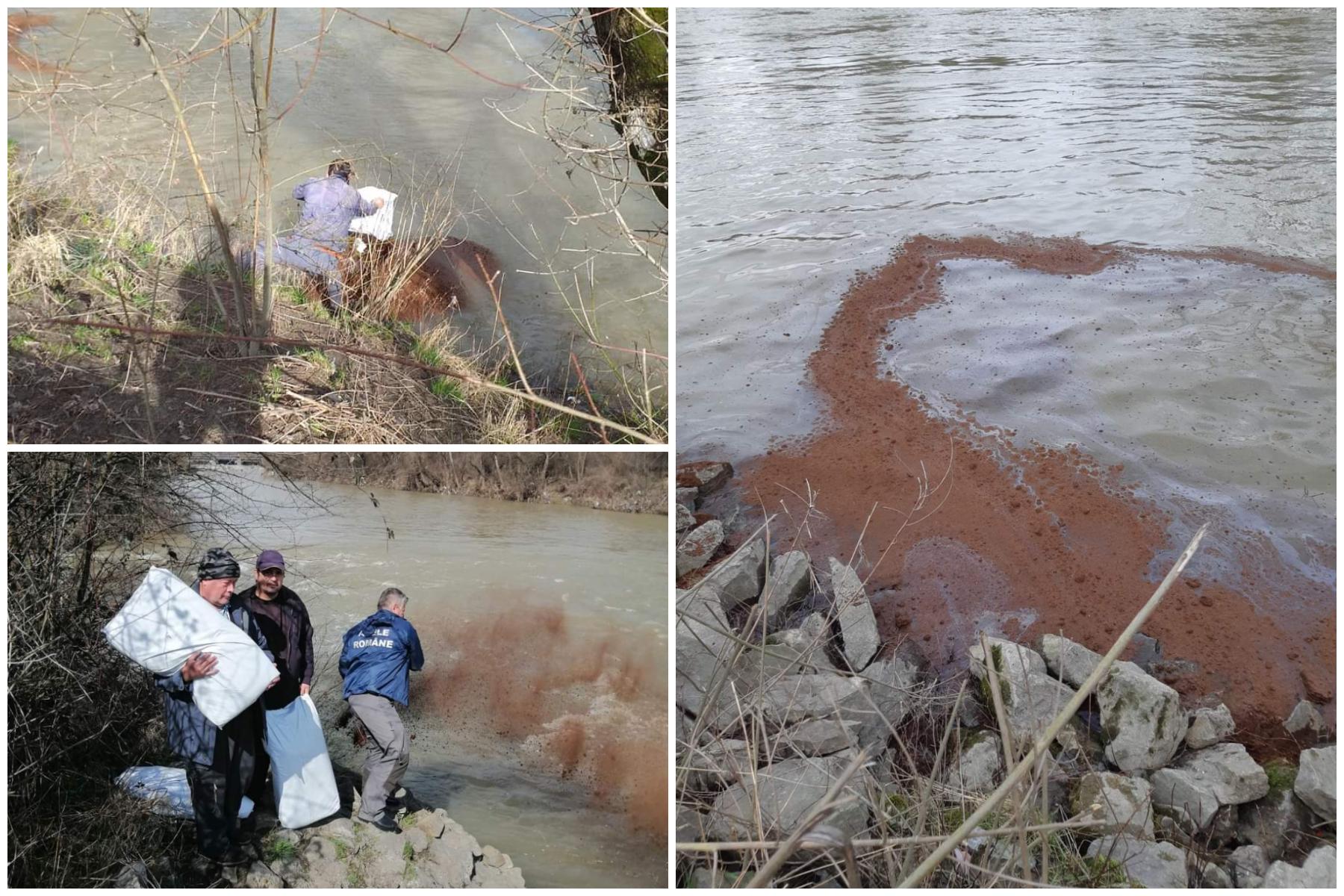 Râul Jiu, poluat cu păcură și praf de cărbune de la Termocentrala ...
