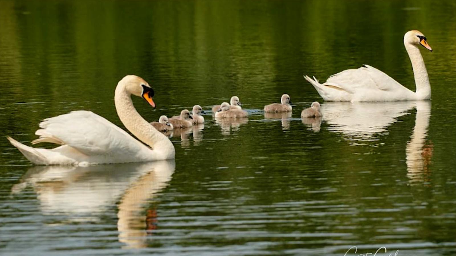 Locul spectaculos din România în care turiștii se bucură de peisaje ...
